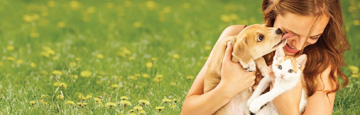 Home - Macquarie Vetz Animal Centre